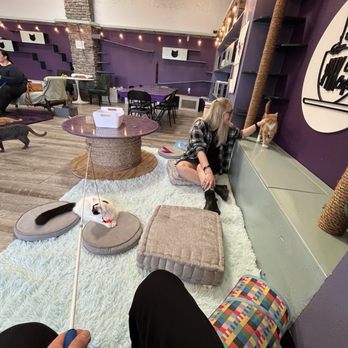 PHX CAT CAFE - Updated October 2025 - 507 Photos & 157 Reviews - 147 E Garfield St, Phoenix ...