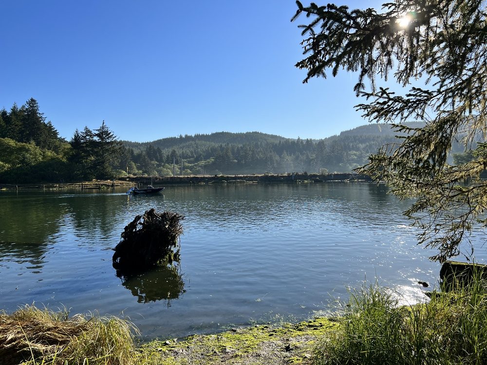 SILETZ BAY NATIONAL WILDLIFE REFUGE - Hiking - Millport Slough Lane ...
