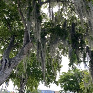 FLORIDA HIGHWAY SAFETY AND MOTOR VEHICLES - Updated January 2025 - 19 ...