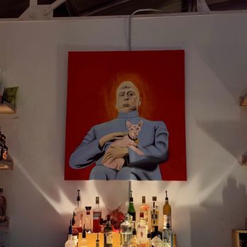 BALD KITTY - Updated January 2026 - 23 Photos & 16 Reviews - 1113 ...