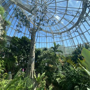 COCKRELL BUTTERFLY CENTER - Updated September 2024 - 534 Photos & 141 ...