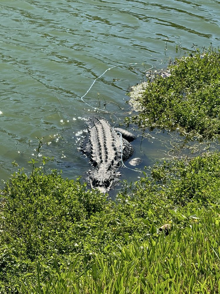 WINDY HARBOR GOLF CLUB - Updated September 2025 - 13 Photos - Mayport ...