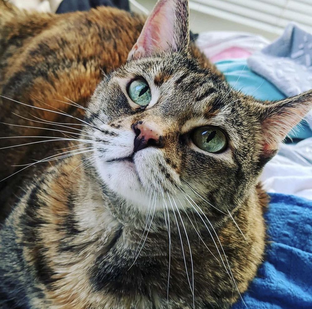 SUNDANCE ANIMAL HOSPITAL - Updated January 2026 - 24 Photos & 33 ...