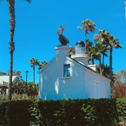 PELLY’S MINI GOLF - 193 Photos & 197 Reviews - 15555 Jimmy Durante Blvd ...