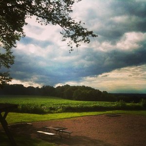 TIMBERCREST CAMP AND RV PARK - Updated June 2024 - 14 Photos - 5552 ...