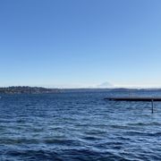 MADRONA PARK - 61 Photos & 27 Reviews - Parks - 853 Lake Washington ...