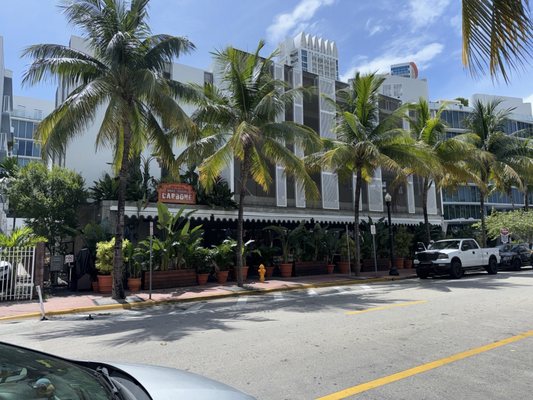 CARBONE - Updated December 2024 - 76 Photos & 21 Reviews - 49 Collins ...