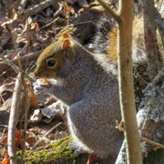 STIGLMEIER PARK - 176 Photos & 33 Reviews - 500 Losson Rd, Cheektowaga ...