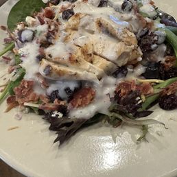 PINE SQUIRREL - Updated January 2026 - 126 Photos & 163 Reviews - 1600 ...