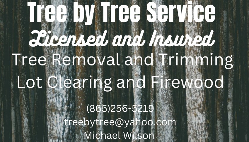 TREE BY TREE SERVICE - Updated January 2026 - Walland, Tennessee - Tree ...