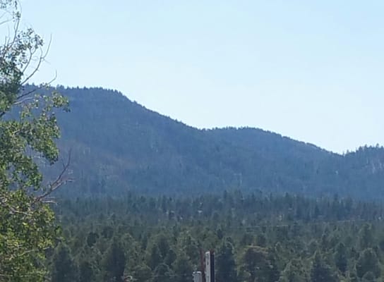 TOWN OF ALPINE - Updated November 2024 - Alpine, Arizona - Local Flavor ...