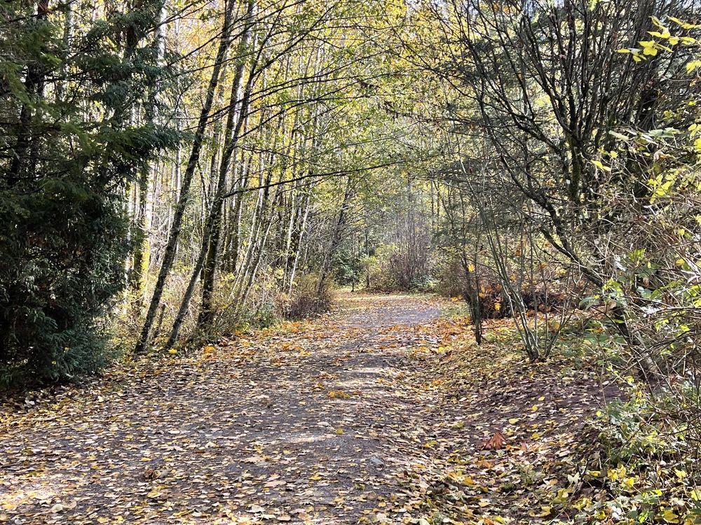 GREEN TIMBERS URBAN FOREST - Updated January 2025 - 13 Photos - 14600 ...