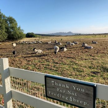 MISSION RANCH - Updated May 2024 - 1493 Photos & 1074 Reviews - 26270 ...