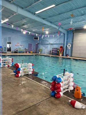 BCS SWIM SCHOOL - Updated September 2025 - 2413 Harvey Mitchell Pkwy S ...