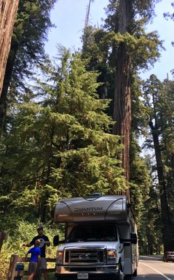 SIMPSON REED GROVE TRAIL - Updated July 2025 - Crescent City ...