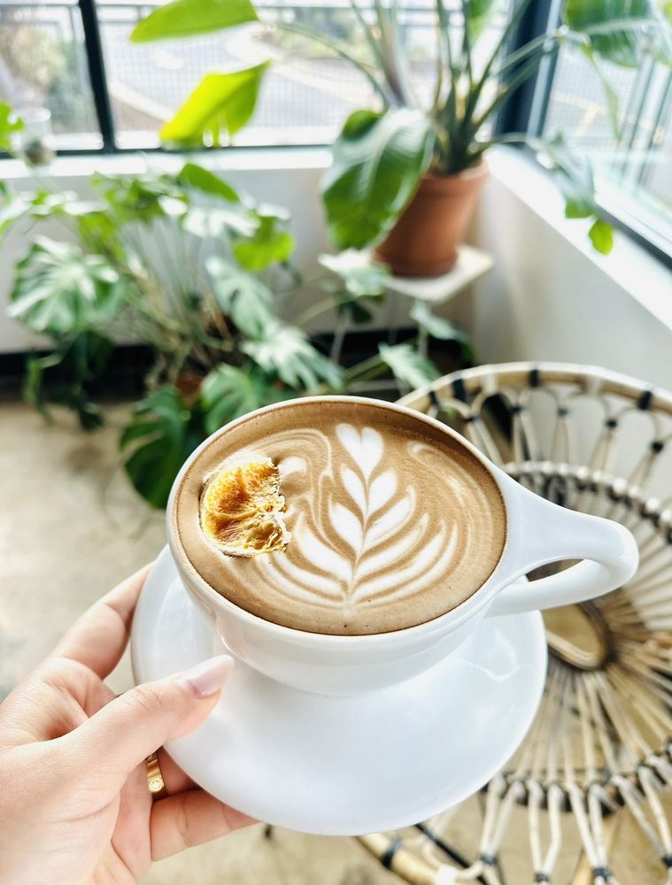 NOT JUST COFFEE - JAY STREET - Updated March 2025 - 106 Photos & 81 ...