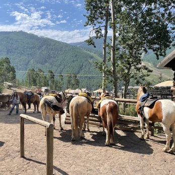 VAIL STABLES - Updated July 2024 - 198 Photos & 133 Reviews - 915A ...