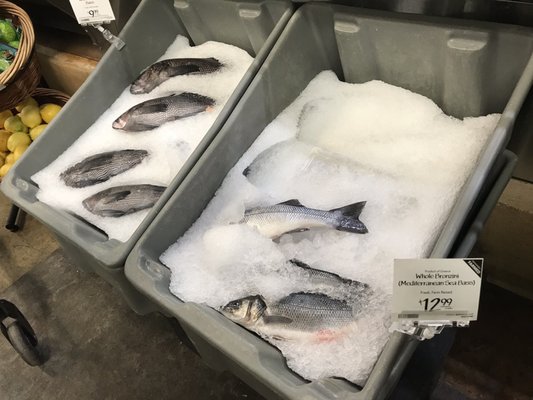 WHOLE FOODS MARKET - 139 Photos & 150 Reviews - 2693 Edmondson Rd ...