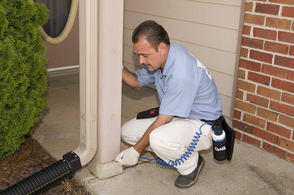 AFFORDABLE PEST CONTROL - Updated October 2025 - Request a Quote - 17 ...