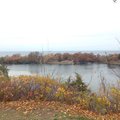 HALIBUT POINT STATE PARK - 161 Photos & 92 Reviews - 16 Garfield Ave ...