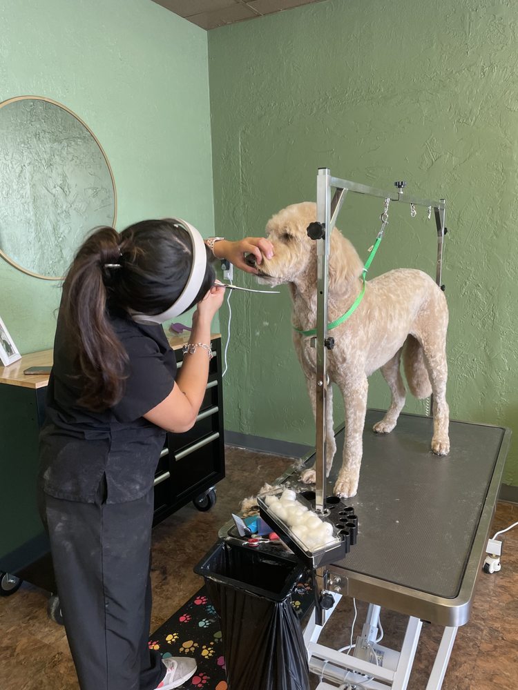 TAILS AND TANGLES - Updated January 2026 - 10 Photos - Montgomery ...