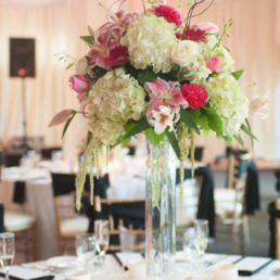 THE STONE TERRACE BY JOHN HENRY’S - Updated December 2025 - 77 Photos ...