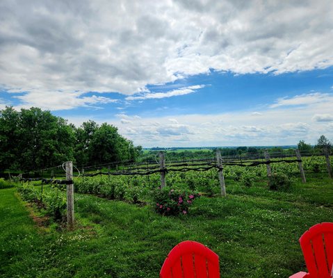 KIN VINEYARDS - Updated August 2025 - 14 Photos - 2225 Craig's Side ...