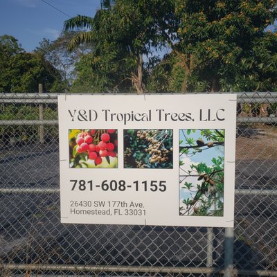 Y & D TROPICAL TREES - Updated April 2024 - 26430 SW 177th Ave, Redland ...