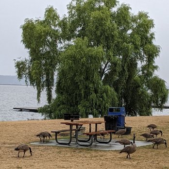 MADRONA PARK - Updated January 2026 - 95 Photos & 33 Reviews - 853 Lake ...