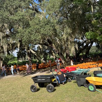 SWEETFIELDS FARM - Updated February 2025 - 340 Photos & 70 Reviews ...