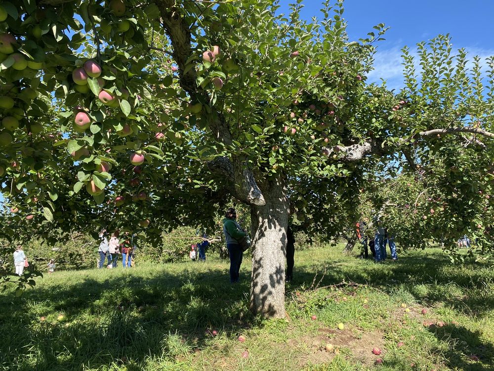 APPLECREST FARM ORCHARDS - 139 Photos & 129 Reviews - 133 Exeter Rd ...