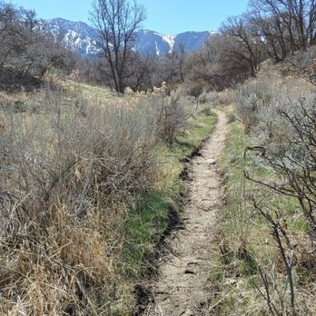 DIMPLE DELL DRY CREEK TRAIL - Updated July 2025 - 14 Photos - 2879 ...