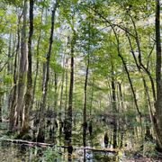 STUMPY LAKE NATURAL AREA - 237 Photos & 17 Reviews - 4794 Indian River ...