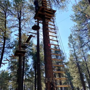 FLAGSTAFF EXTREME ADVENTURE COURSE - 275 Photos & 314 Reviews ...