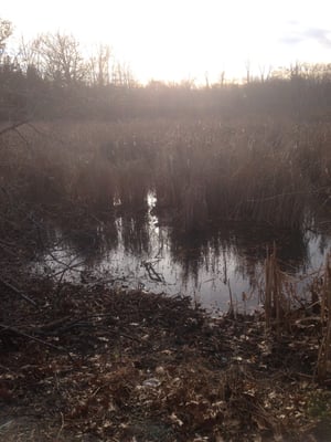 METHUEN RAIL TRAIL - Updated October 2025 - Methuen Rail Trl, Methuen ...