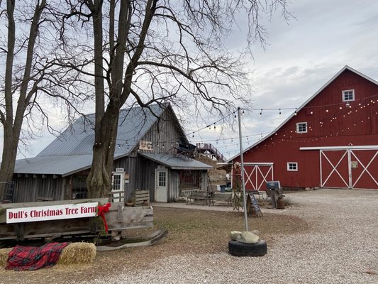 DULL’S TREE FARM - 66 Photos & 44 Reviews - 1765 W Blubaugh Ave ...