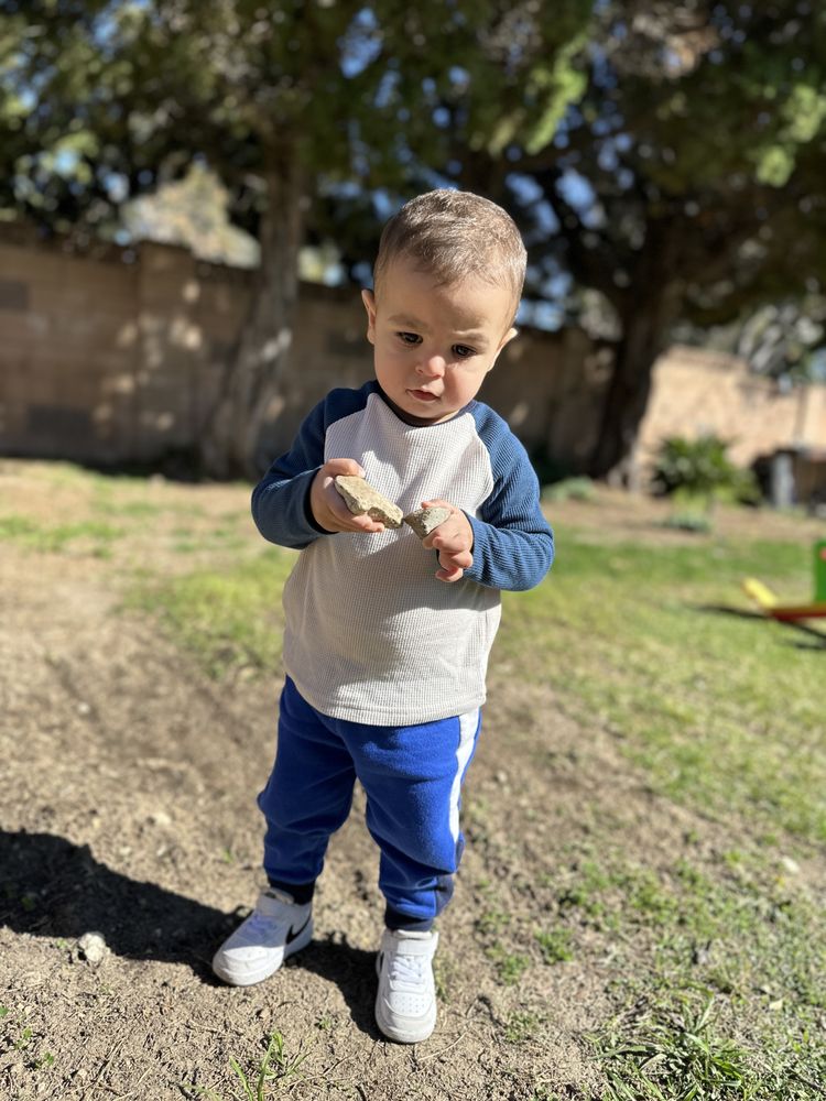 CLEVER LAND PRESCHOOL - Request Consultation - 26 Photos - 19079 Ludlow ...