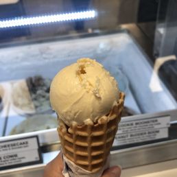 COWS - Updated November 2025 - 352 Photos & 211 Reviews - 138 Banff ...