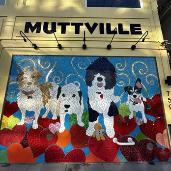 MUTTVILLE SENIOR DOG RESCUE - Updated January 2026 - 356 Photos & 172 ...