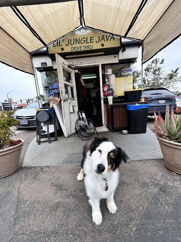 LIL’ JUNGLE JAVA - 34 Photos & 134 Reviews - 1500 Encinitas Blvd ...
