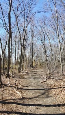 BROOK FARM HISTORIC SITE - Updated October 2025 - 670 Baker St, Boston ...