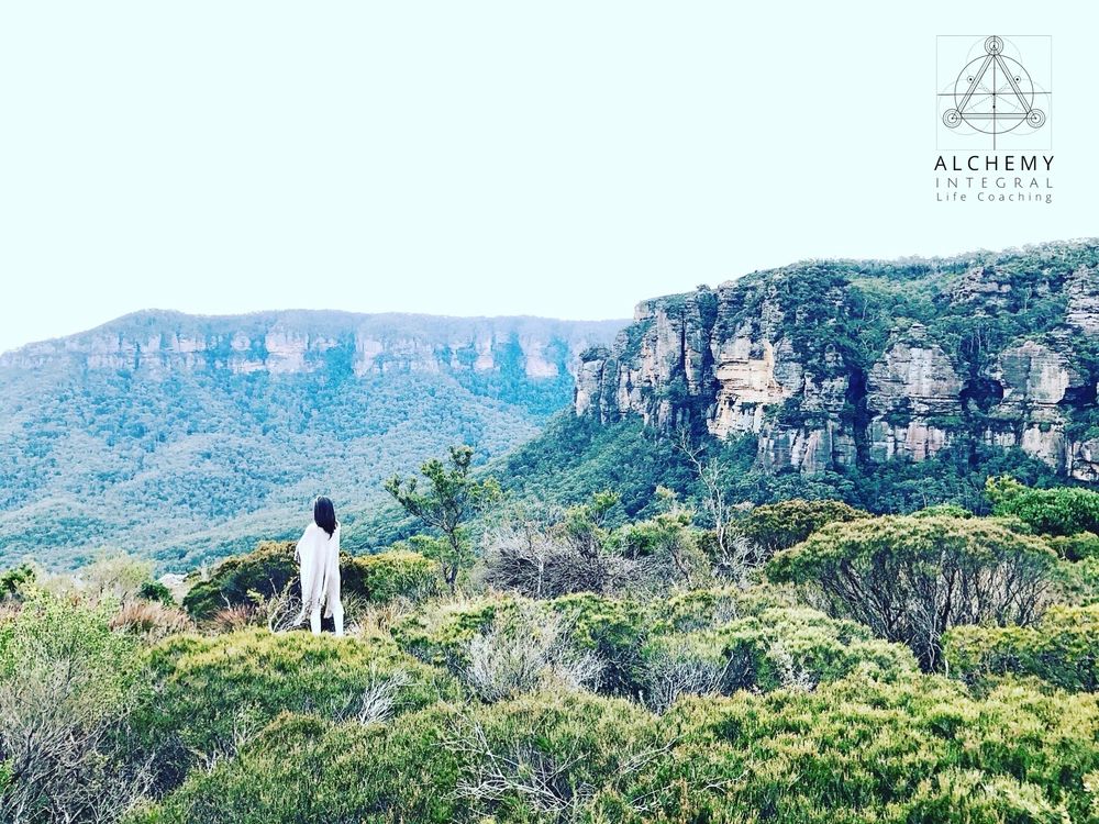 ALCHEMY - INTEGRAL LIFE COACHING - Updated June 2024 - 12 Photos ...