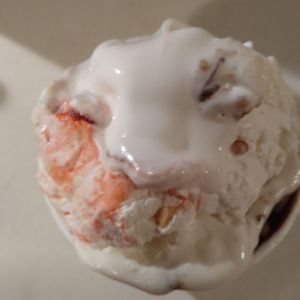 BO’S ICE CREAM - 156 Photos & 239 Reviews - 7101 N Florida Ave, Tampa ...