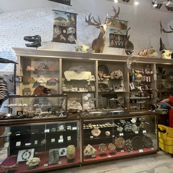 THE EVOLUTION STORE - Updated October 2025 - 325 Photos & 193 Reviews ...