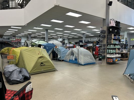 SAIL - Updated January 2026 - 59 Photos - 2850 Avenue Jacques-Bureau ...