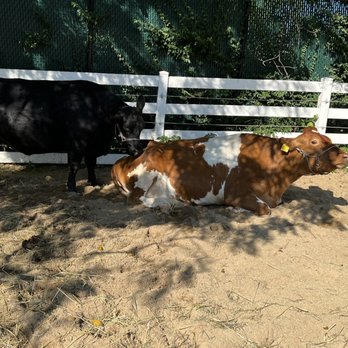 COSLEY ZOO - Updated May 2024 - 267 Photos & 136 Reviews - 1356 N Gary ...