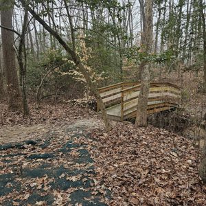 ALUM SPRING PARK - Updated December 2025 - 24 Photos & 24 Reviews - 99 ...