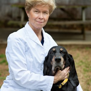 MOORE HUMANE SOCIETY - Updated May 2025 - 11 Reviews - 5355 Nc Hwy 22 ...