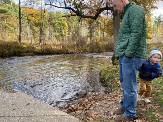 TOWNSEND PARK - Updated November 2024 - 11 Photos - 8260 6 Mile Rd NE ...