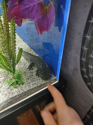 AQUARIUM & SHARK LAB BY TEAM ECCO - Updated August 2025 - 66 Photos ...